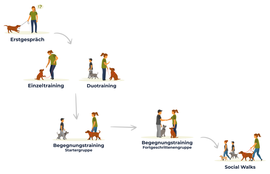 Hundeschule Hannover - Training für besondere Hunde